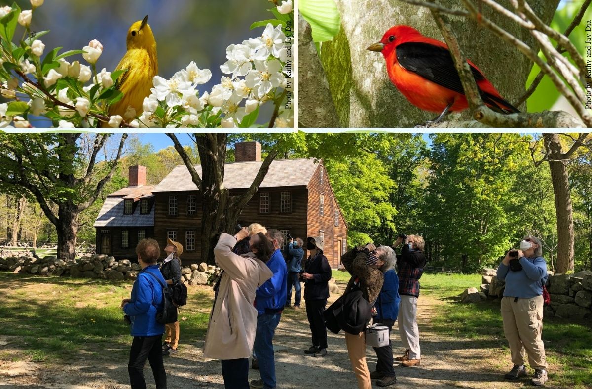 Bird Watching - Friends of Minute Man National Park